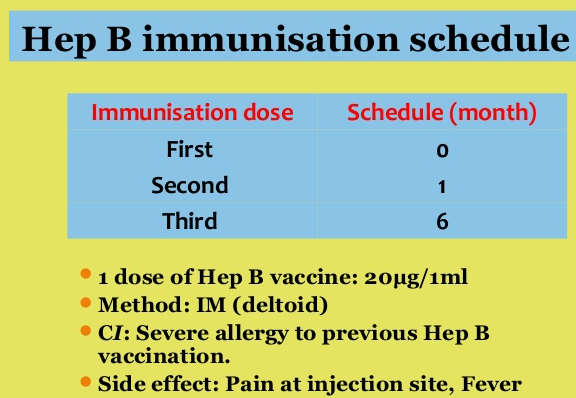 Hepatitis B Immunisation